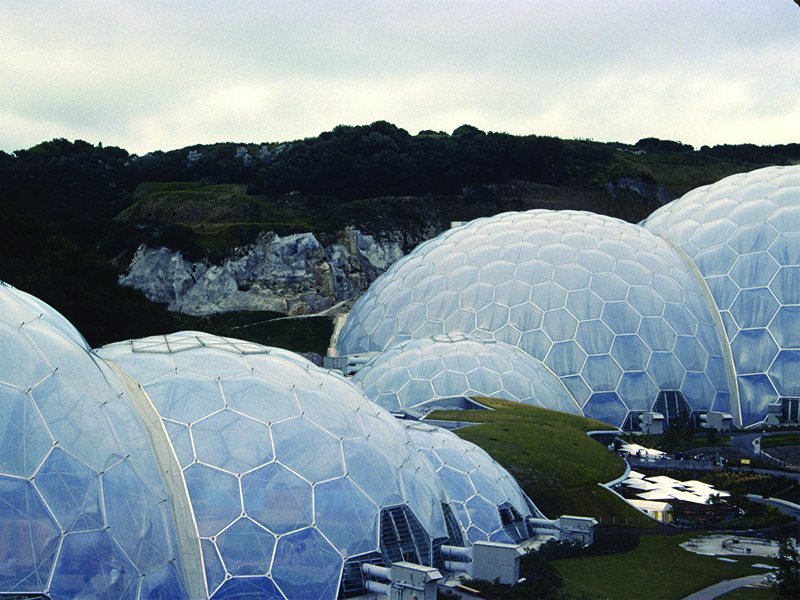 World Plants